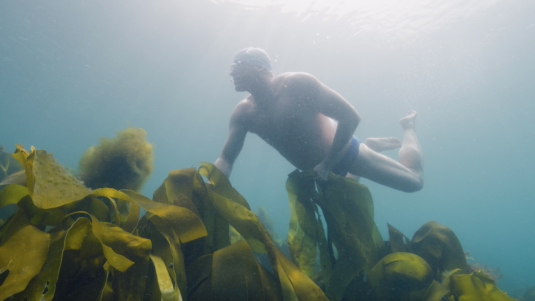 Latest blogs - Plymouth Sound National Marine Park