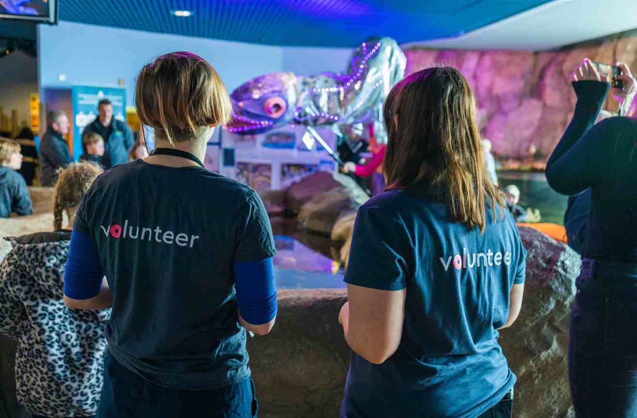 March Ranger Round Up - Plymouth Sound National Marine Park