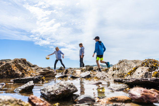 Rockpool Safari - Ocean Conservation Trust - Plymouth Sound National ...