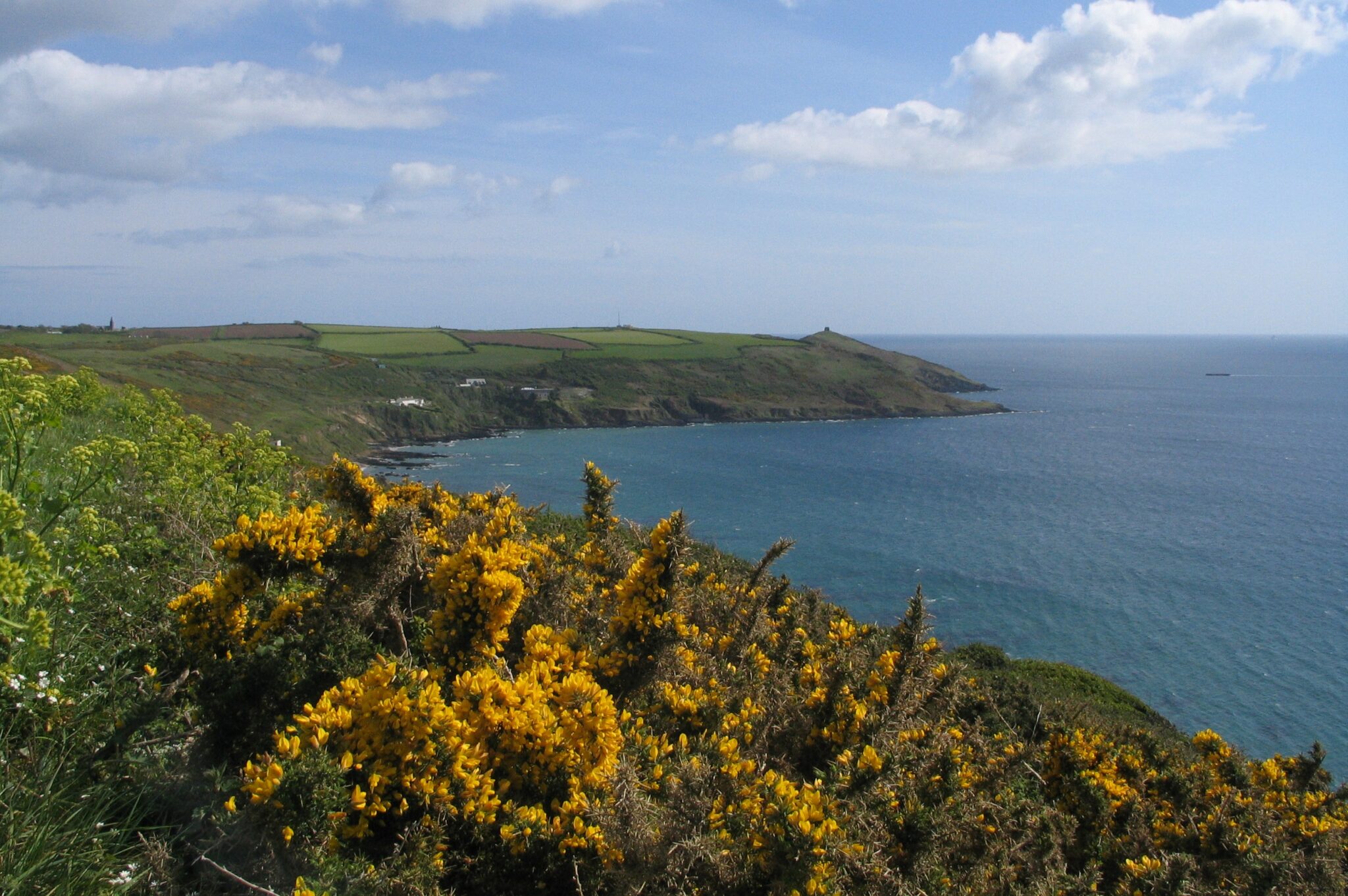 Homepage - Plymouth Sound National Marine Park