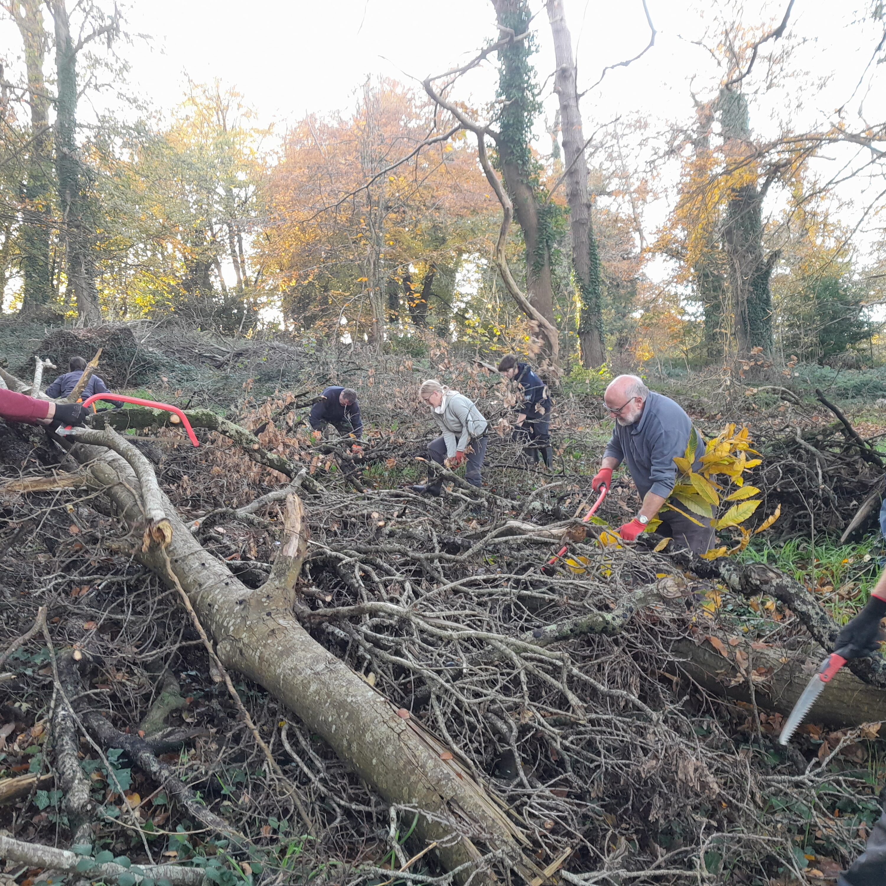 Ranger Boot Camp and Volunteer Day - Plymouth Sound National Marine Park