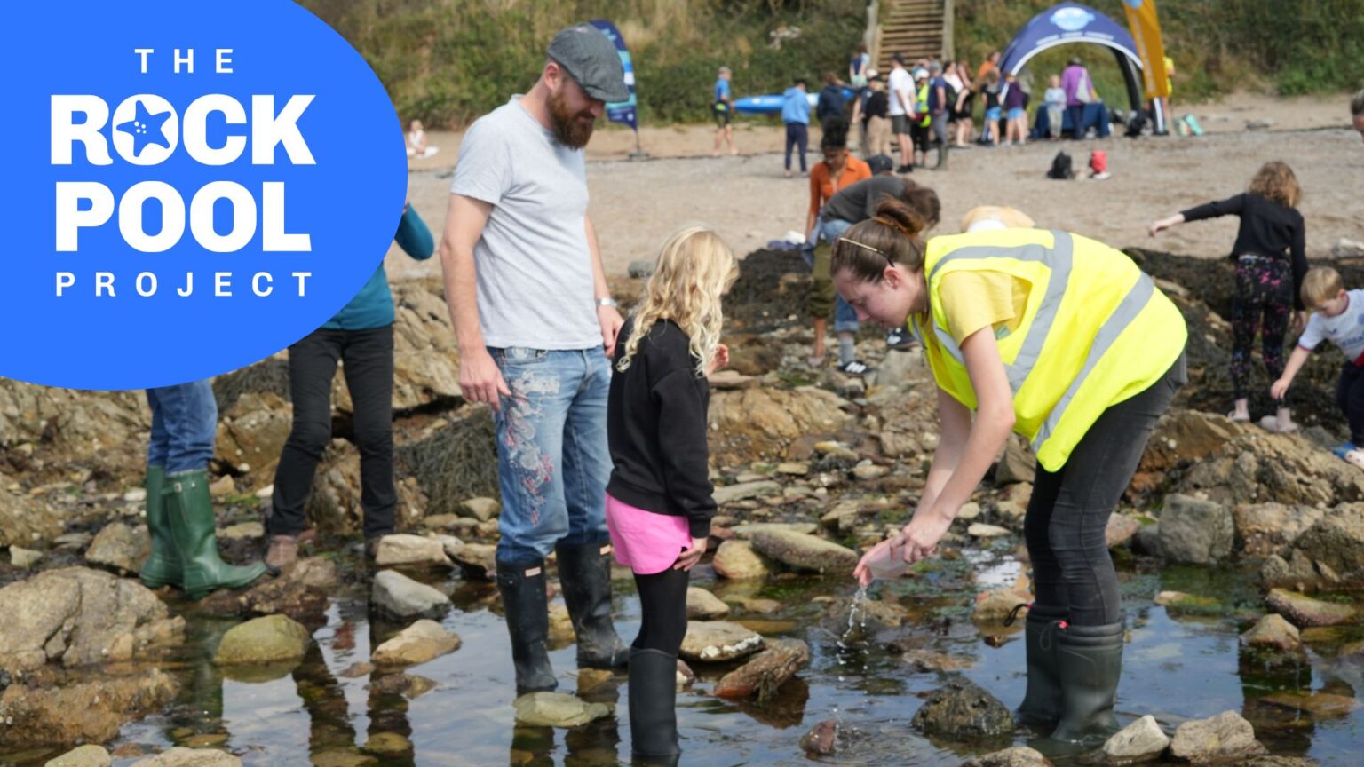 National Marine Week at the UK's first National Marine Park - Plymouth ...