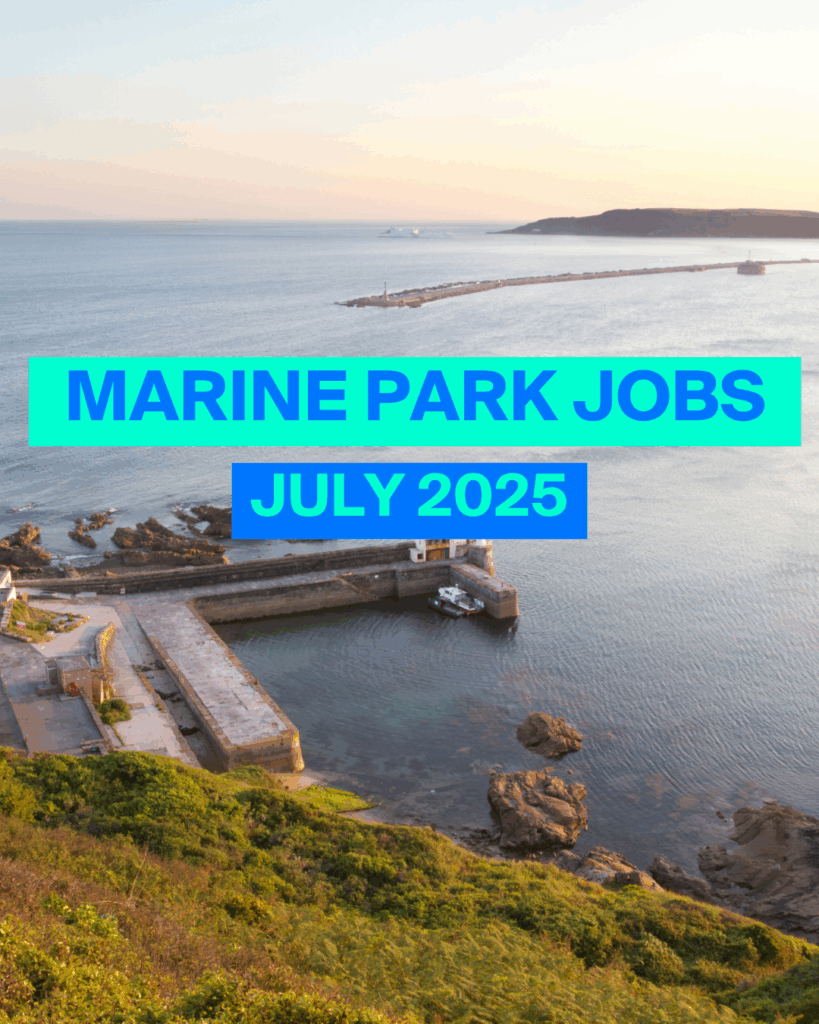 Monthly Marine Park Job Roles - July 2025 - Plymouth Sound National ...